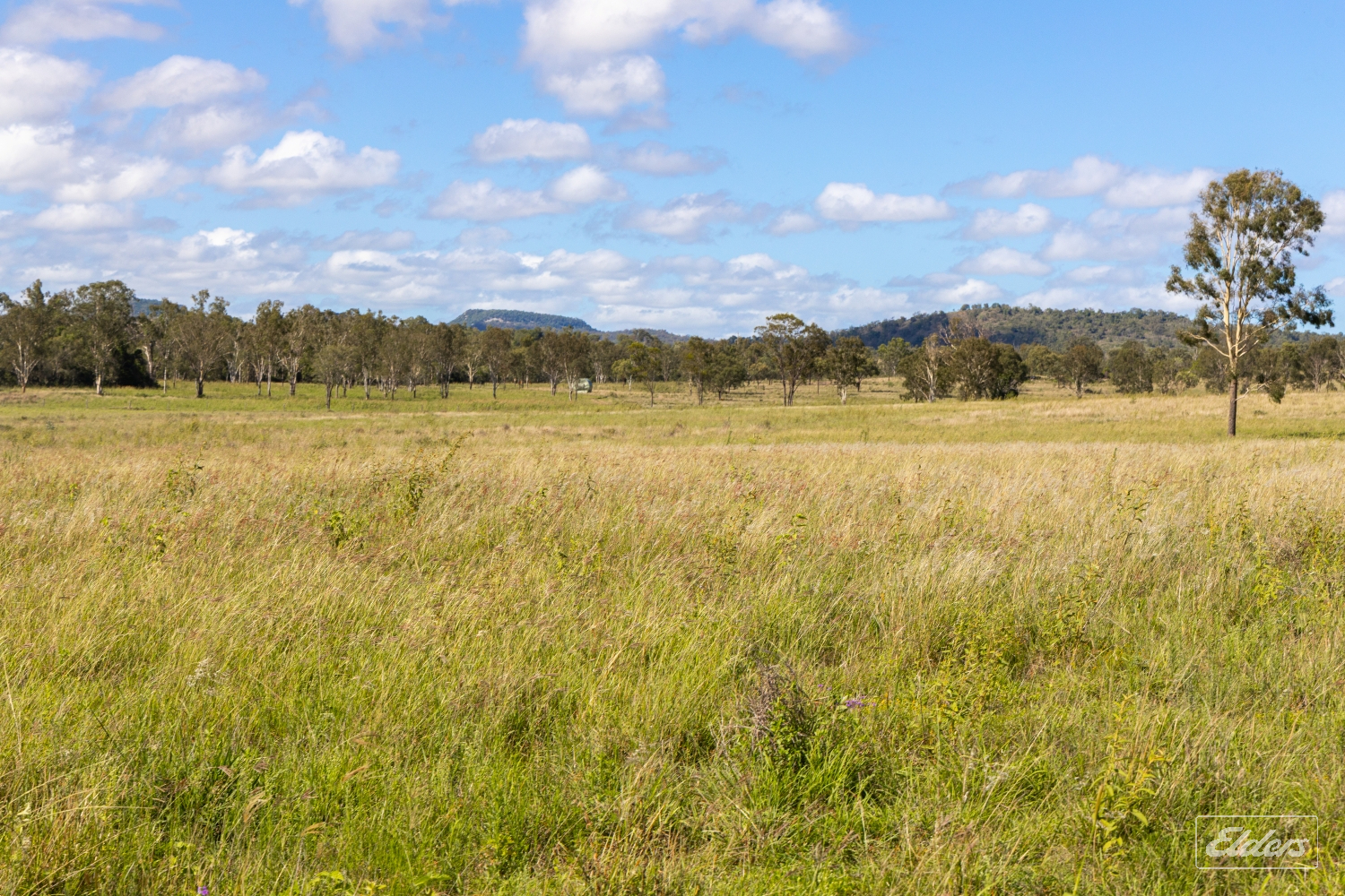 Elders Commercial Rockhampton | Your Local Real Estate Experts