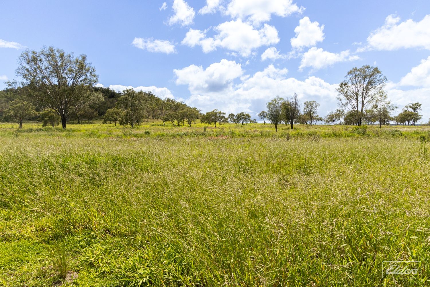 Elders Commercial Rockhampton | Your Local Real Estate Experts